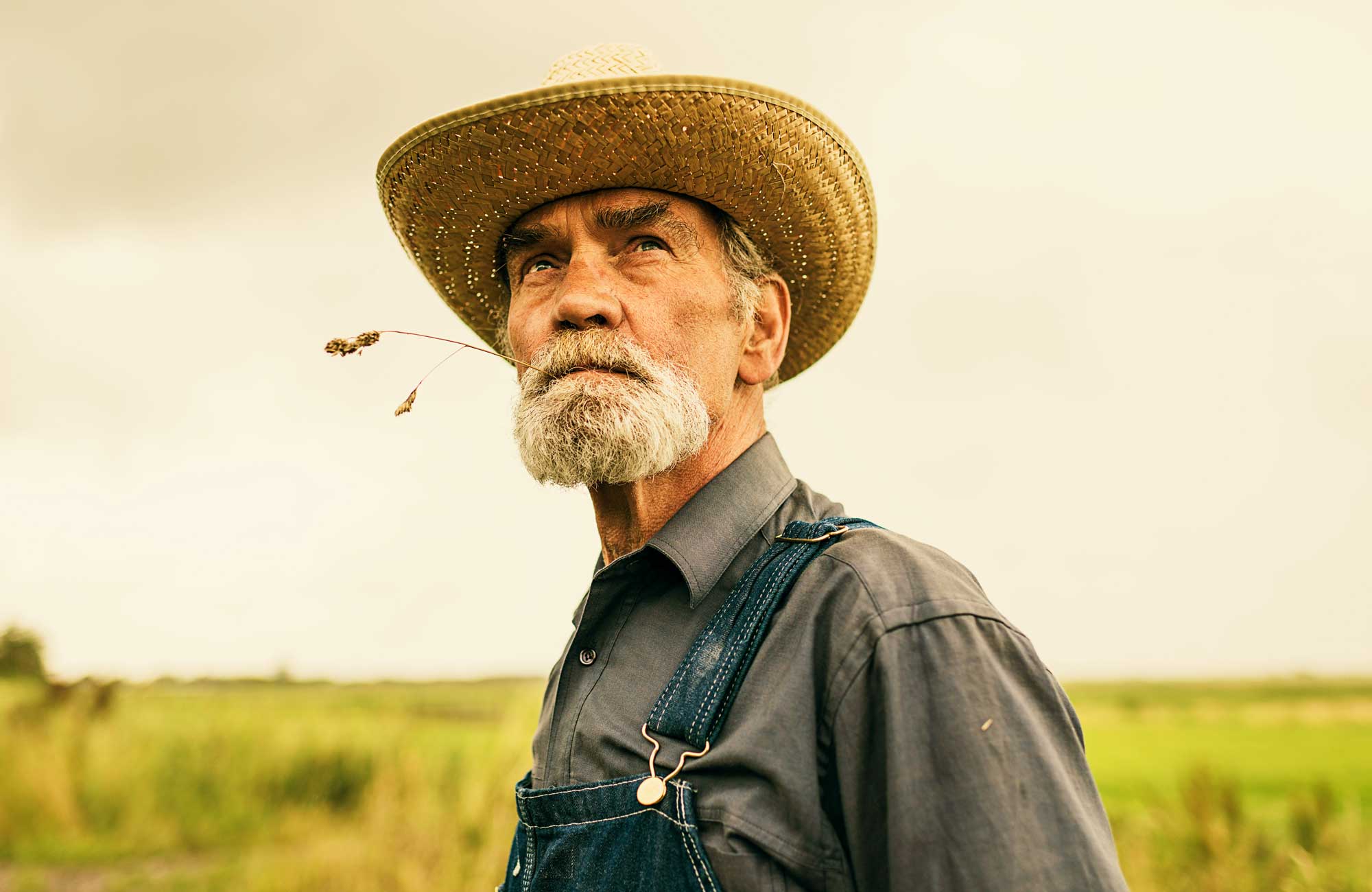 Wheatly’s Burgers - Brain Sinew