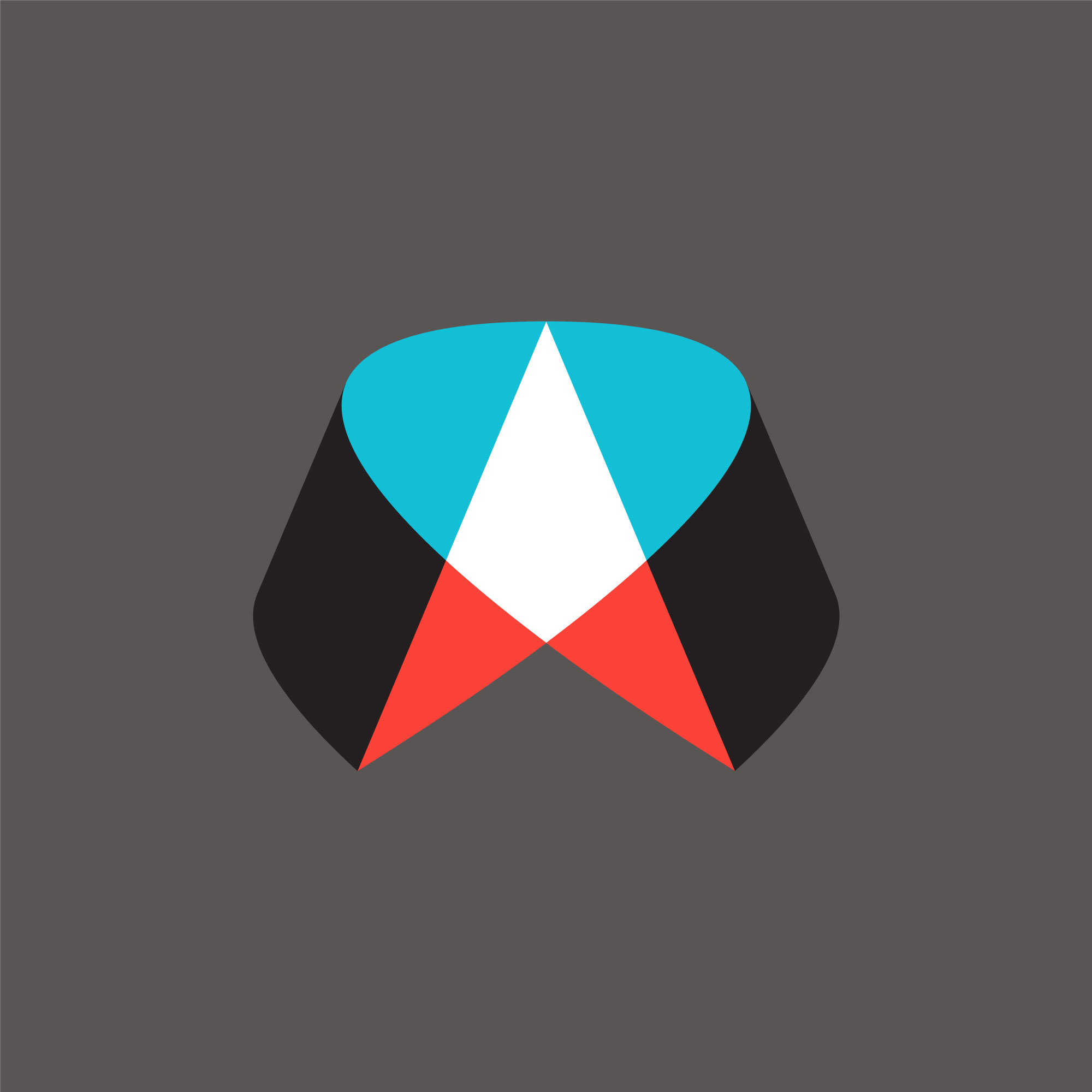 Advanced Blankets Thermal Insulation Branding | Brain Sinew